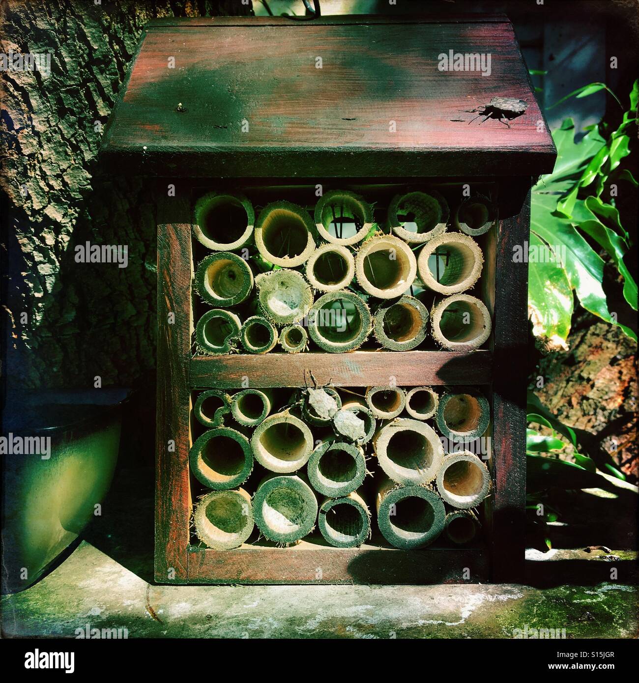 Bug house hi-res stock photography and images - Alamy