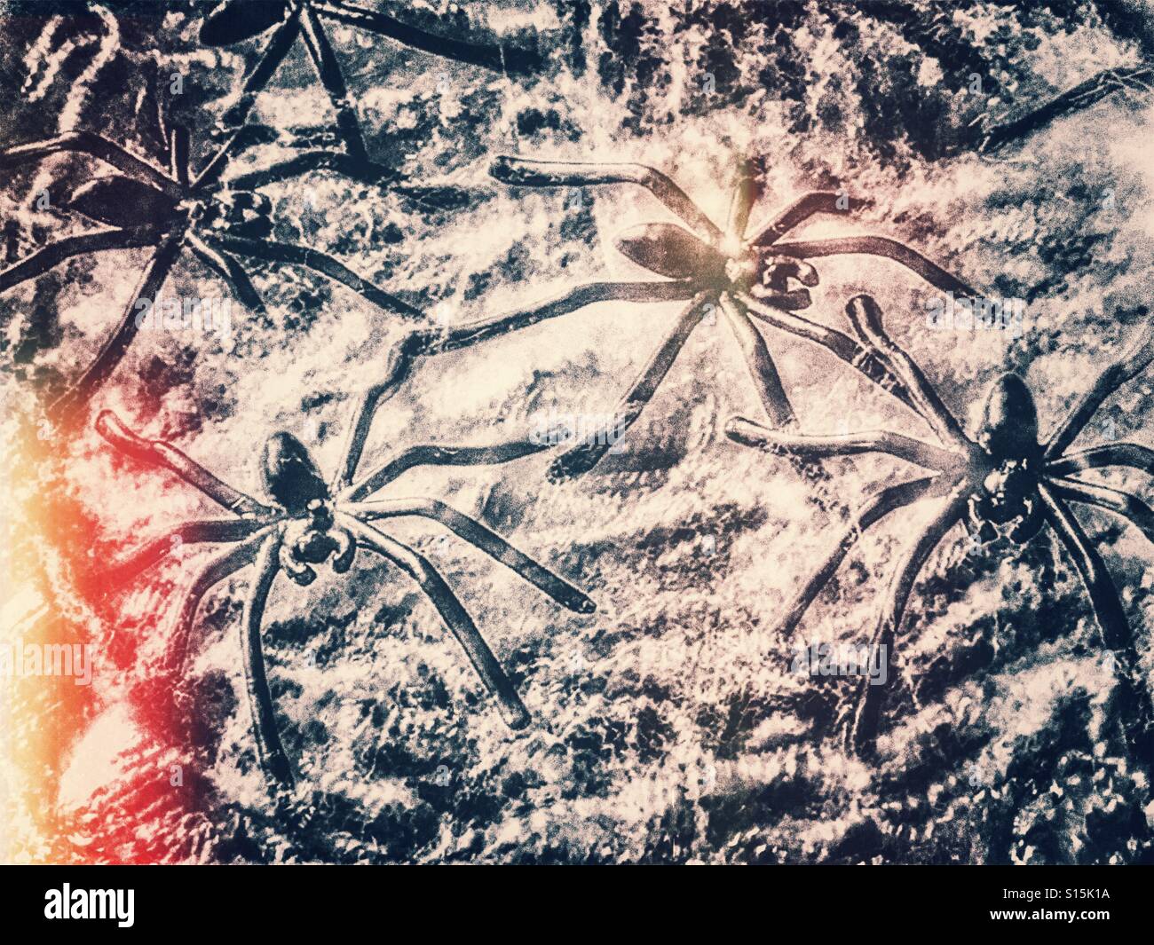 Halloween. Creepy spiders Stock Photo - Alamy