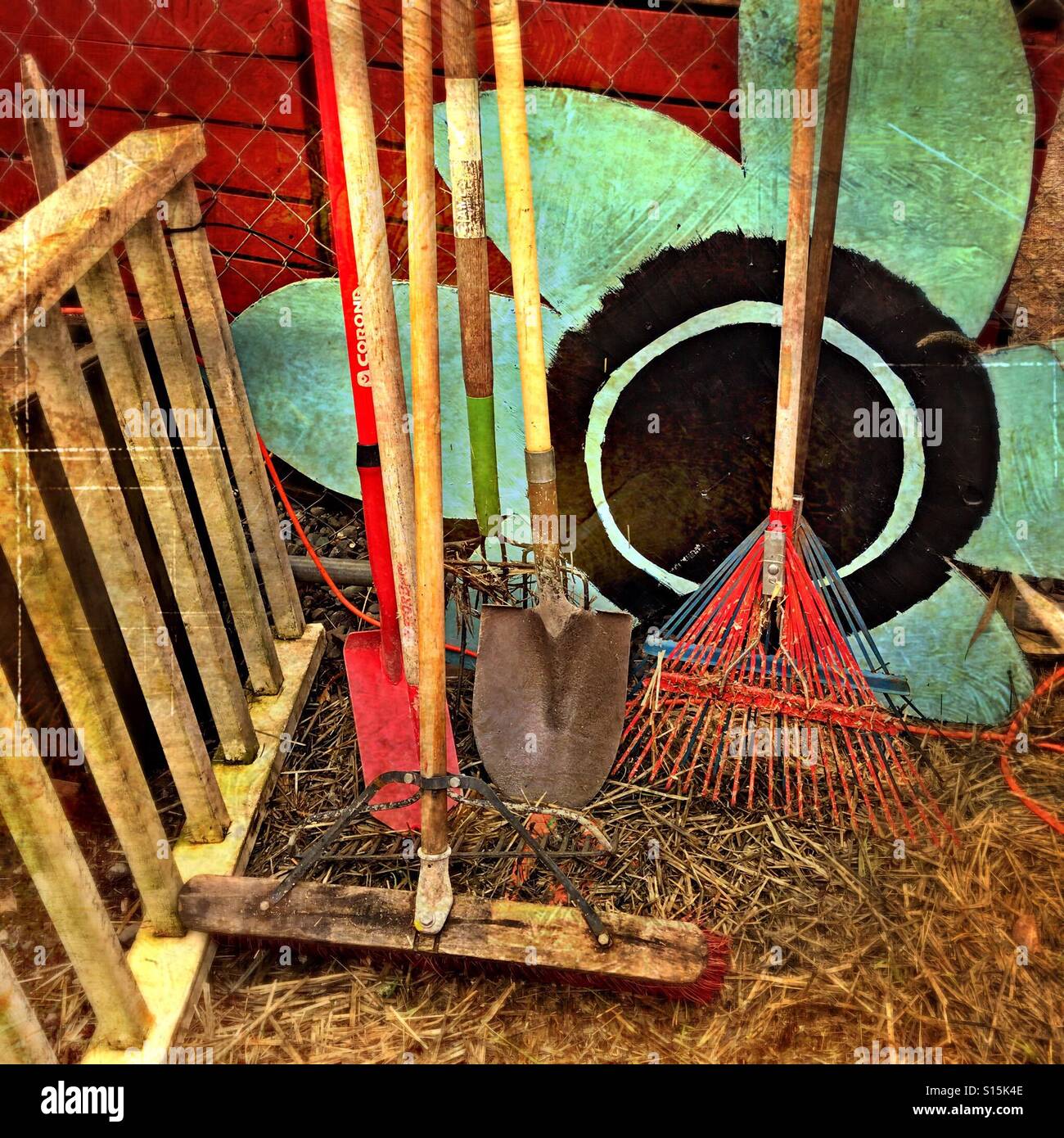 A collection of colorful gardening tools on a damp day Stock Photo - Alamy