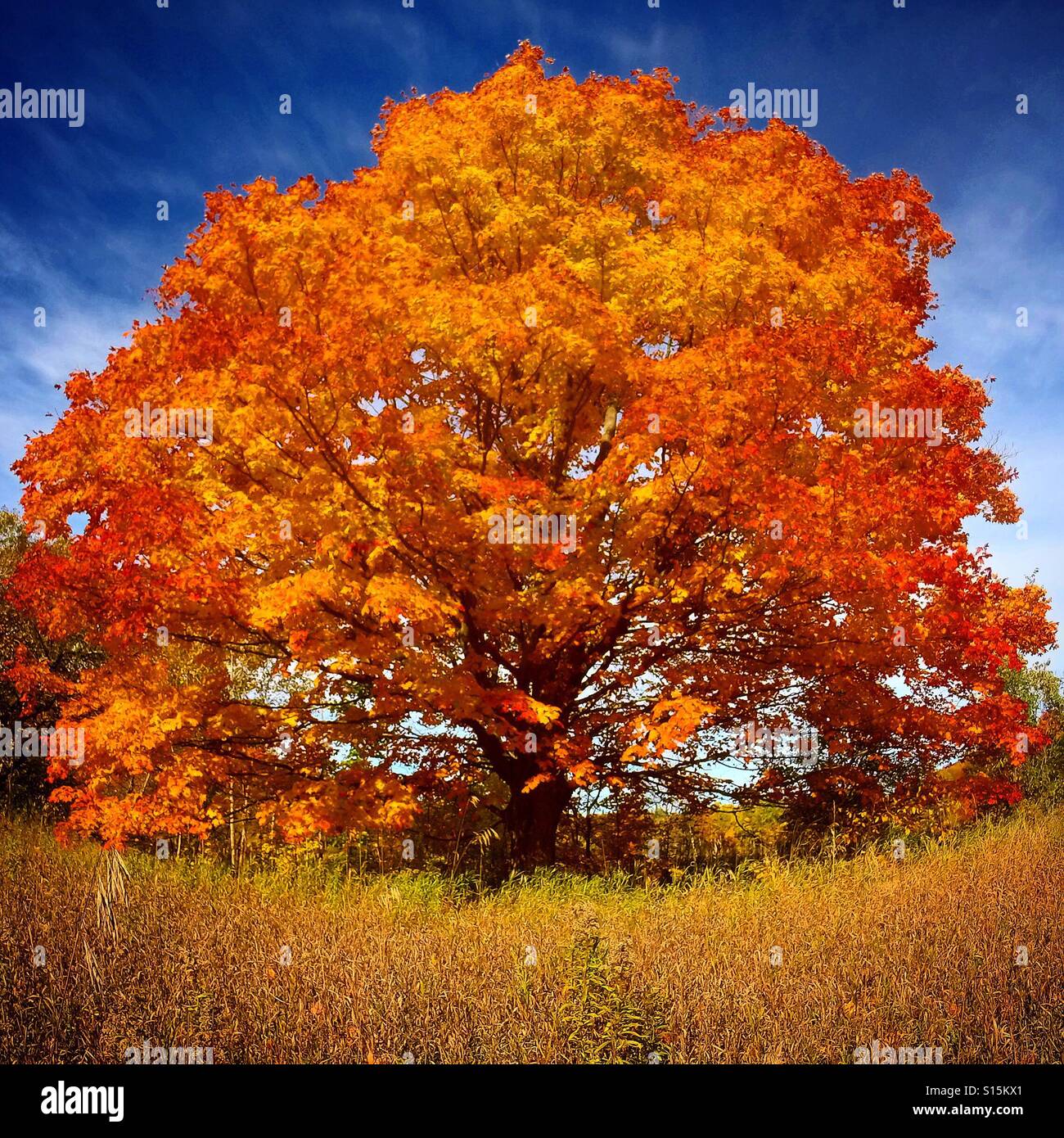 Fall color prime Stock Photo - Alamy