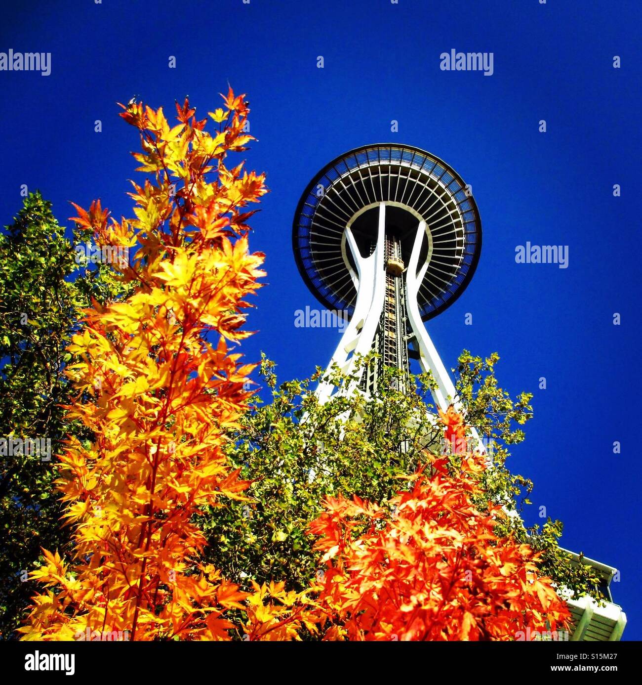 Seattle fall space needle hi-res stock photography and images - Alamy