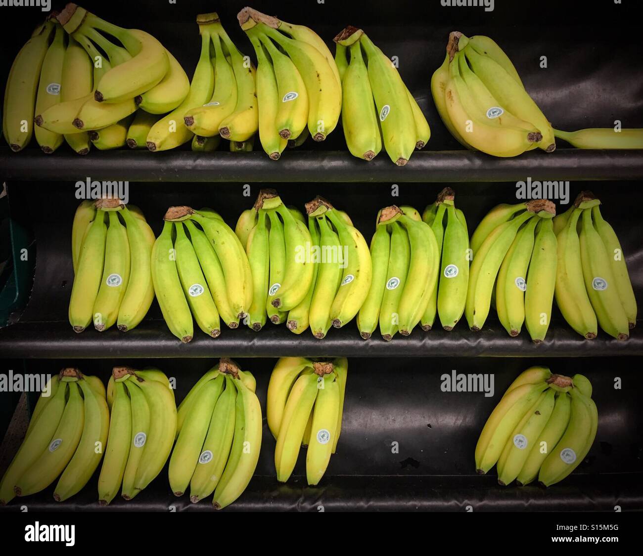 Row of banana bunches hi-res stock photography and images - Alamy
