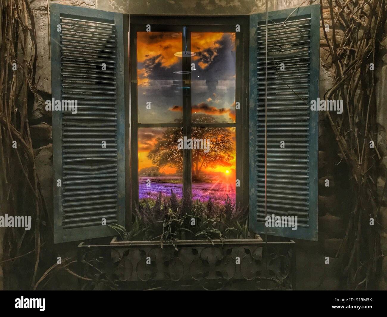 Looking through the window Stock Photo - Alamy