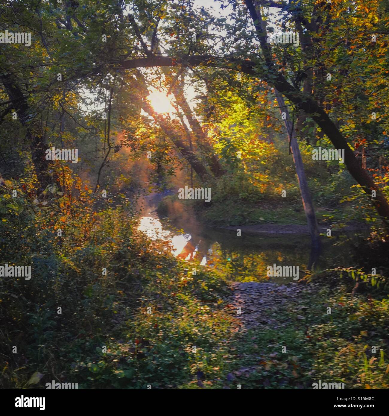 Beautiful fall morning hi-res stock photography and images - Alamy