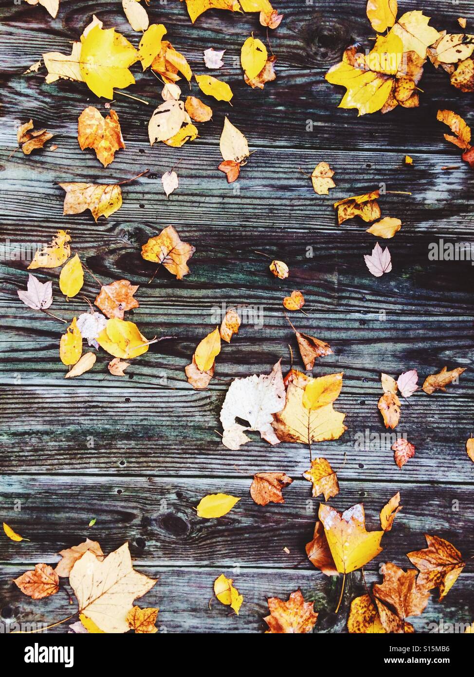 Fall textures hi-res stock photography and images - Alamy
