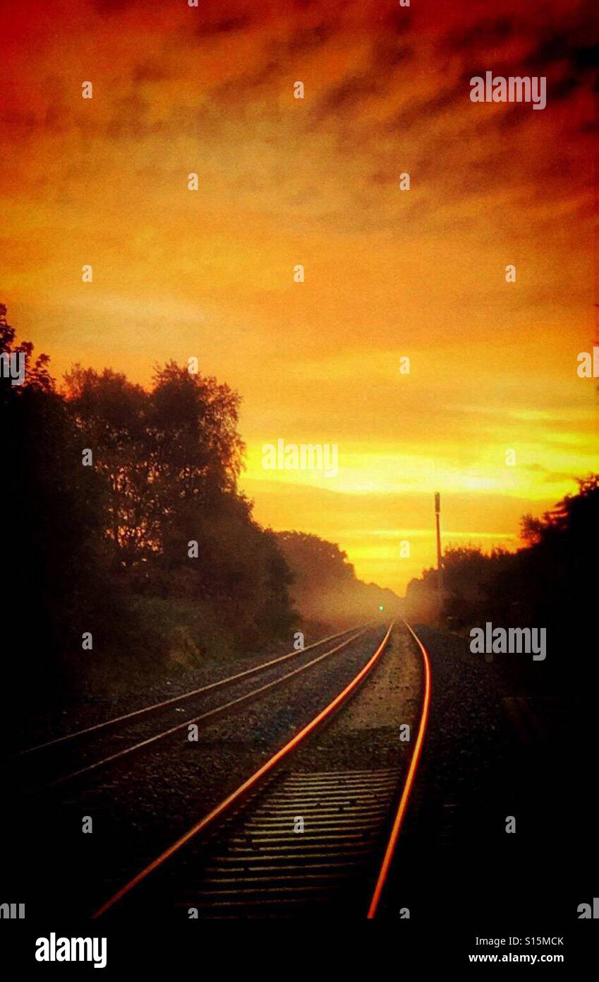 Rails reflecting sunrise in a misty morning on the railway with green ...