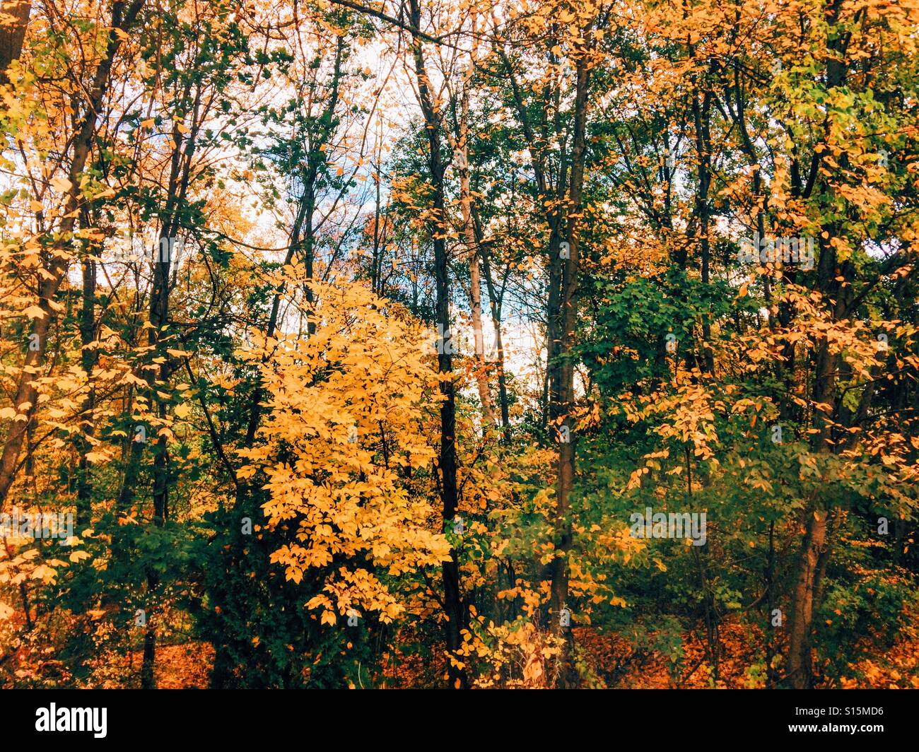 Look outside hi-res stock photography and images - Alamy