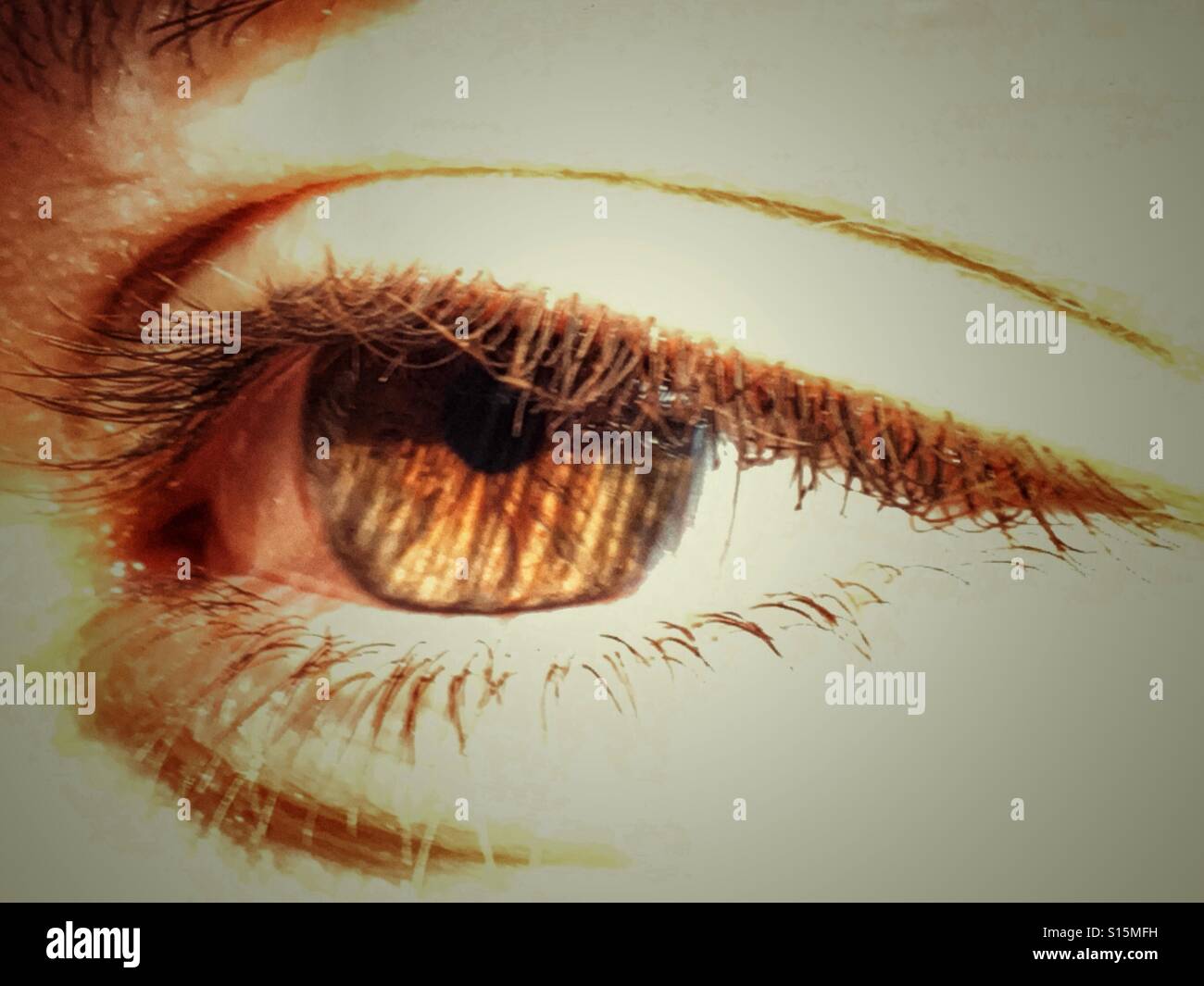 No eyelids hi-res stock photography and images - Alamy