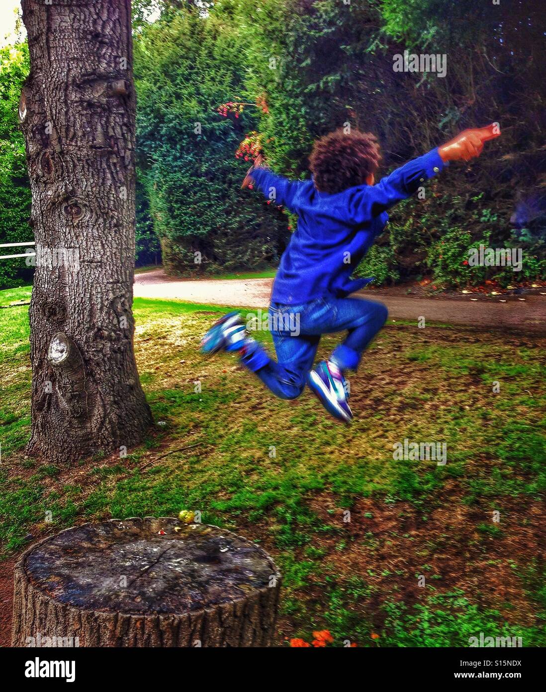 A little boy jumps off a tree stump Stock Photo - Alamy