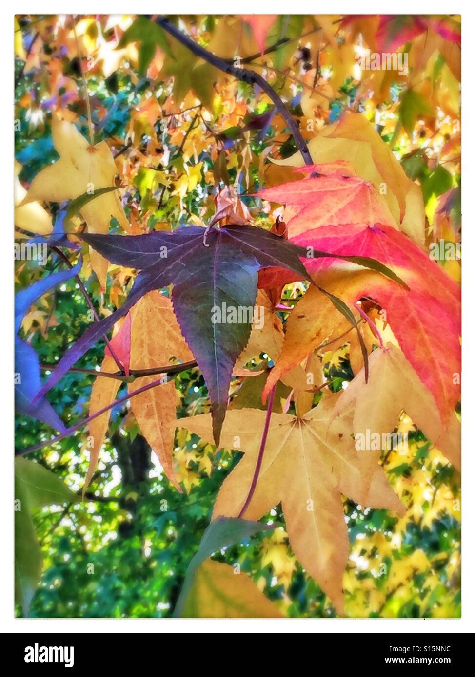 Fleeting hi-res stock photography and images - Alamy