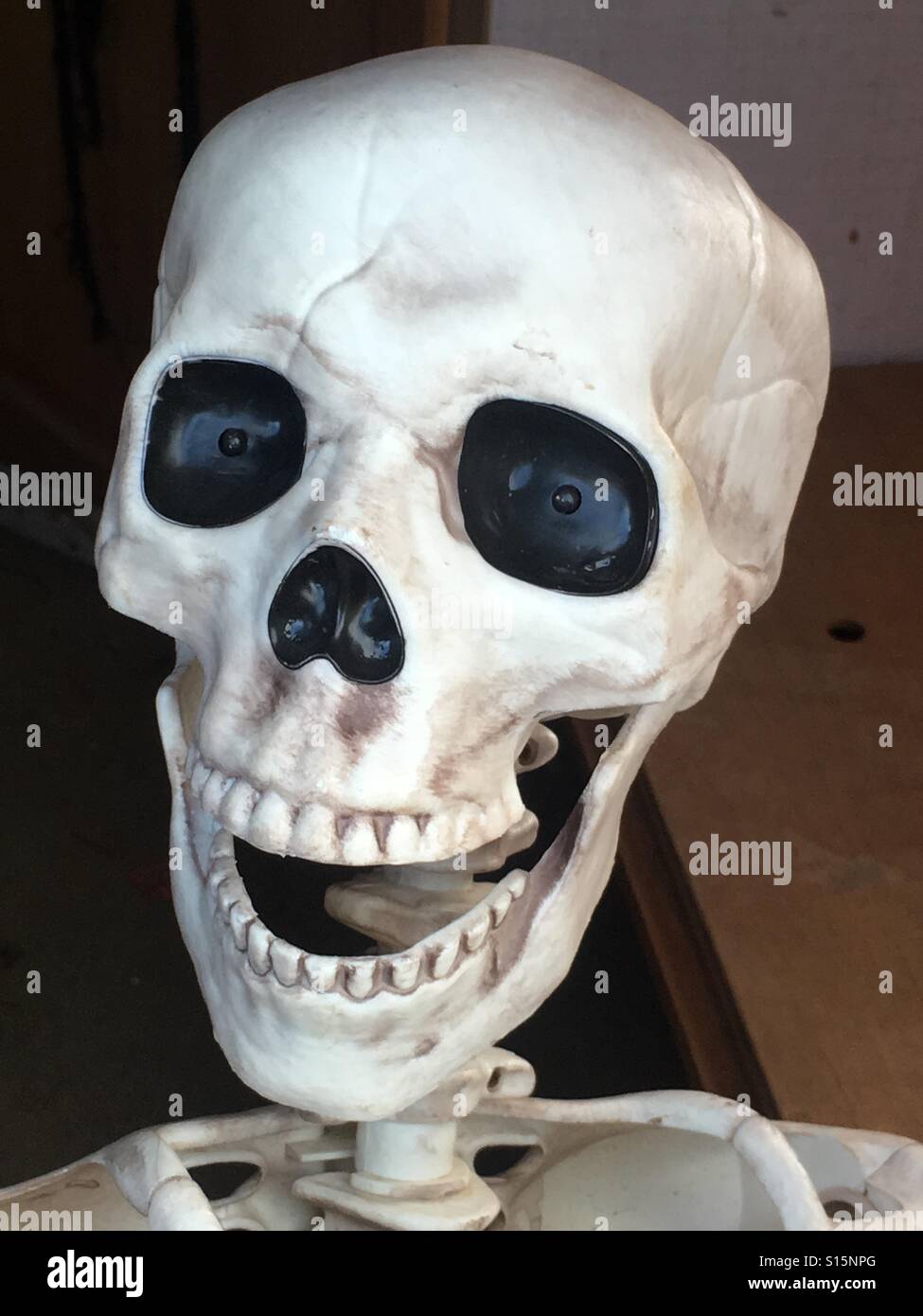 Skeleton smiling hi-res stock photography and images - Alamy