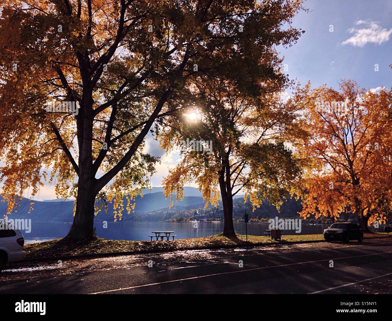 Afternoon colours hi-res stock photography and images - Alamy