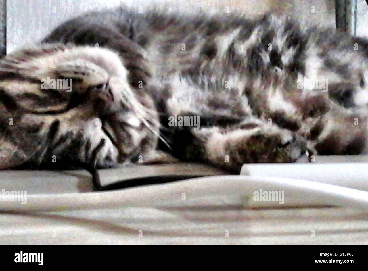 Sleepy head hi-res stock photography and images - Alamy