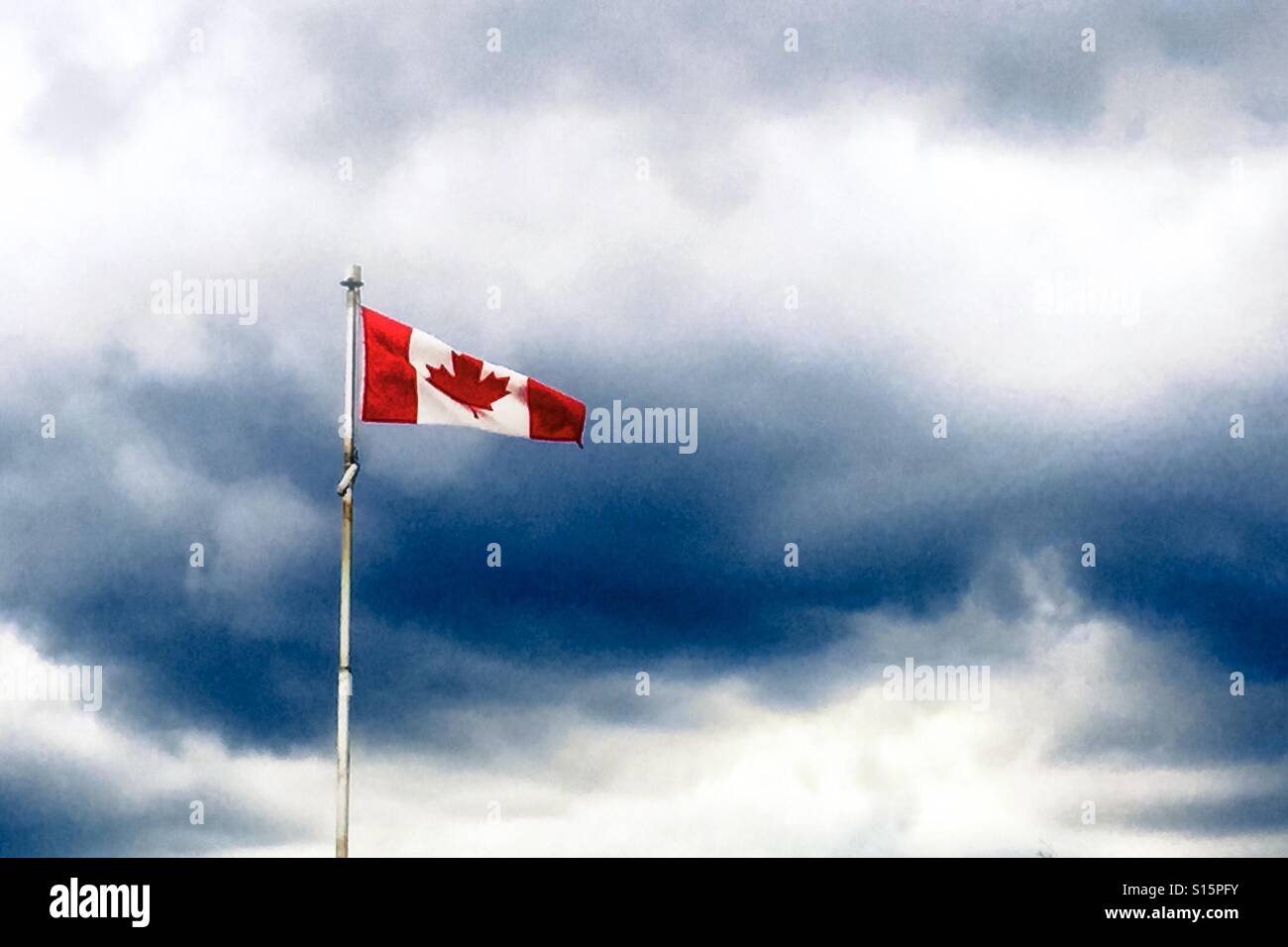 A windy day on the prairies Stock Photo - Alamy