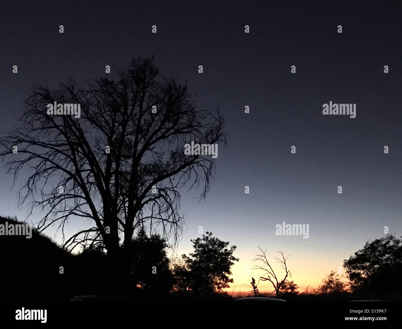 Tree shadow sky hi-res stock photography and images - Alamy