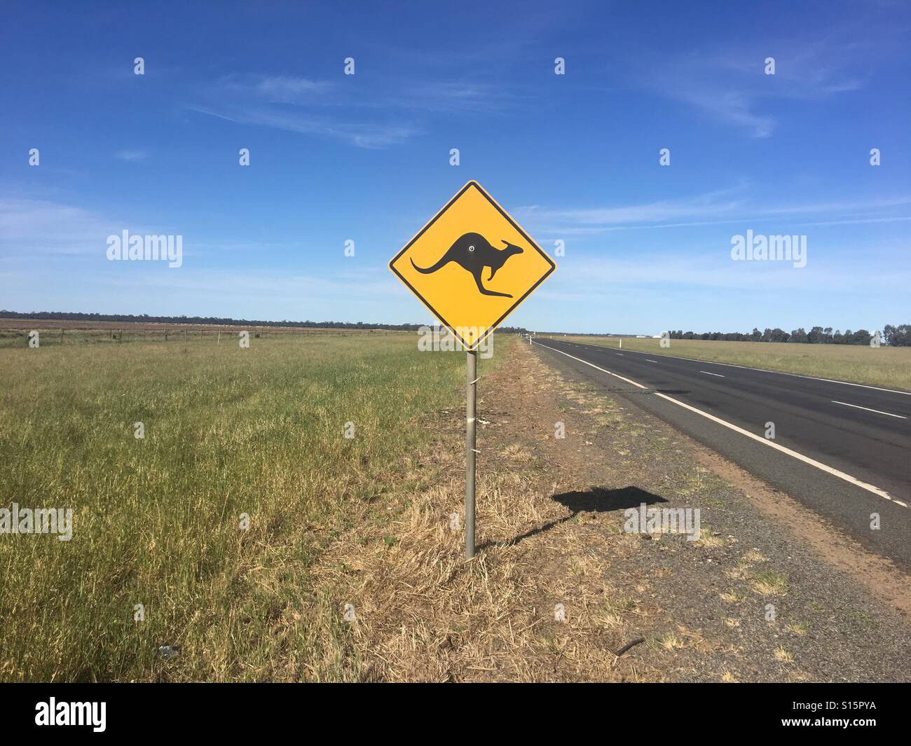 Kangaroo warning sign at roadside hi-res stock photography and images ...