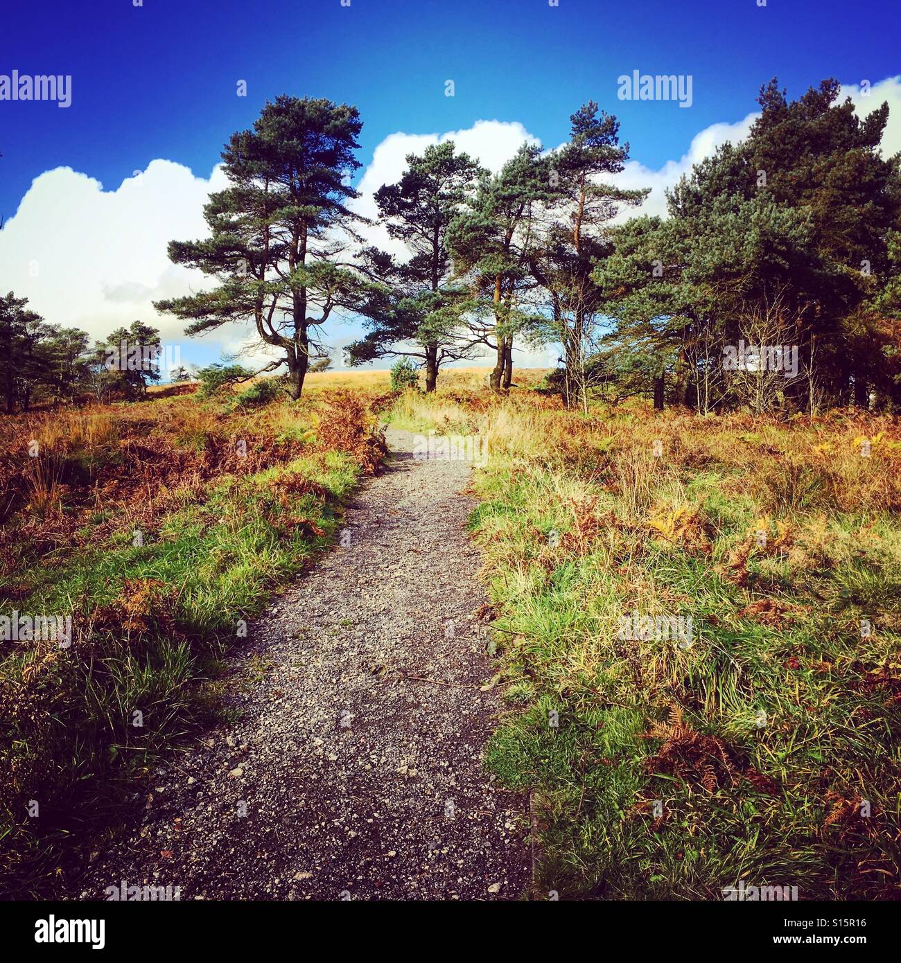 Halifax england hi-res stock photography and images - Alamy