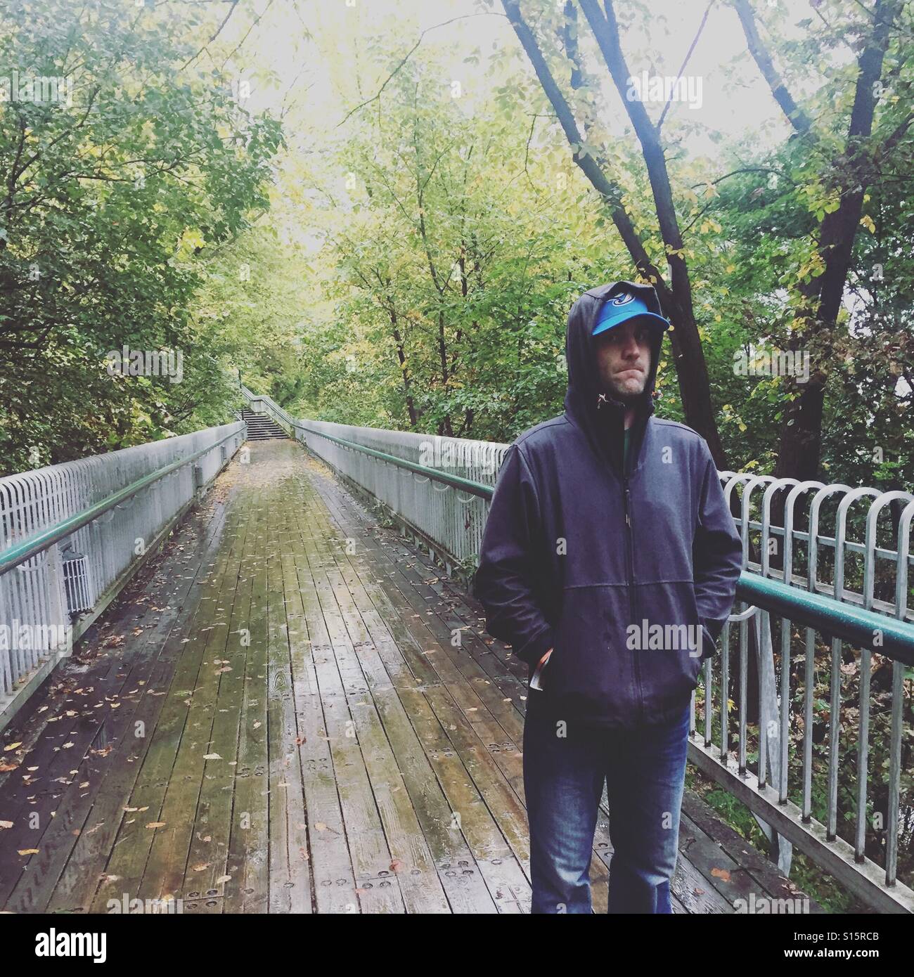 Rain and trees hi-res stock photography and images - Alamy