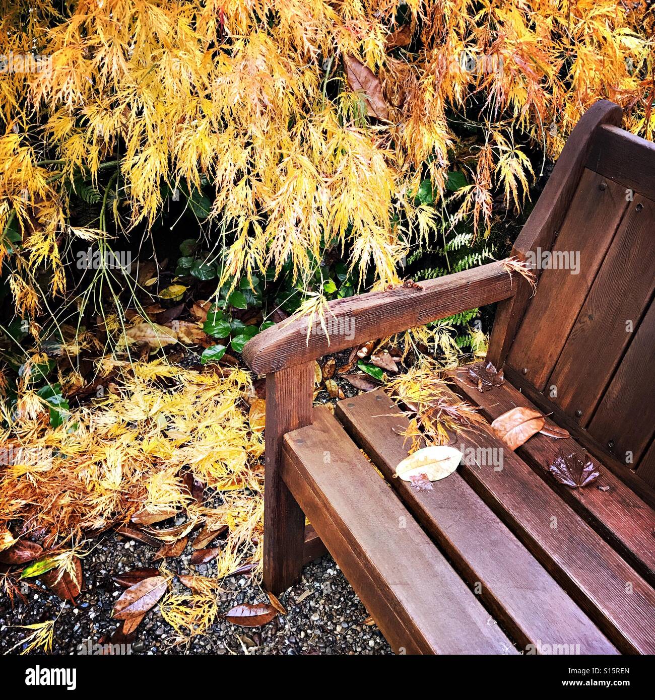 Wet bench hi-res stock photography and images - Alamy