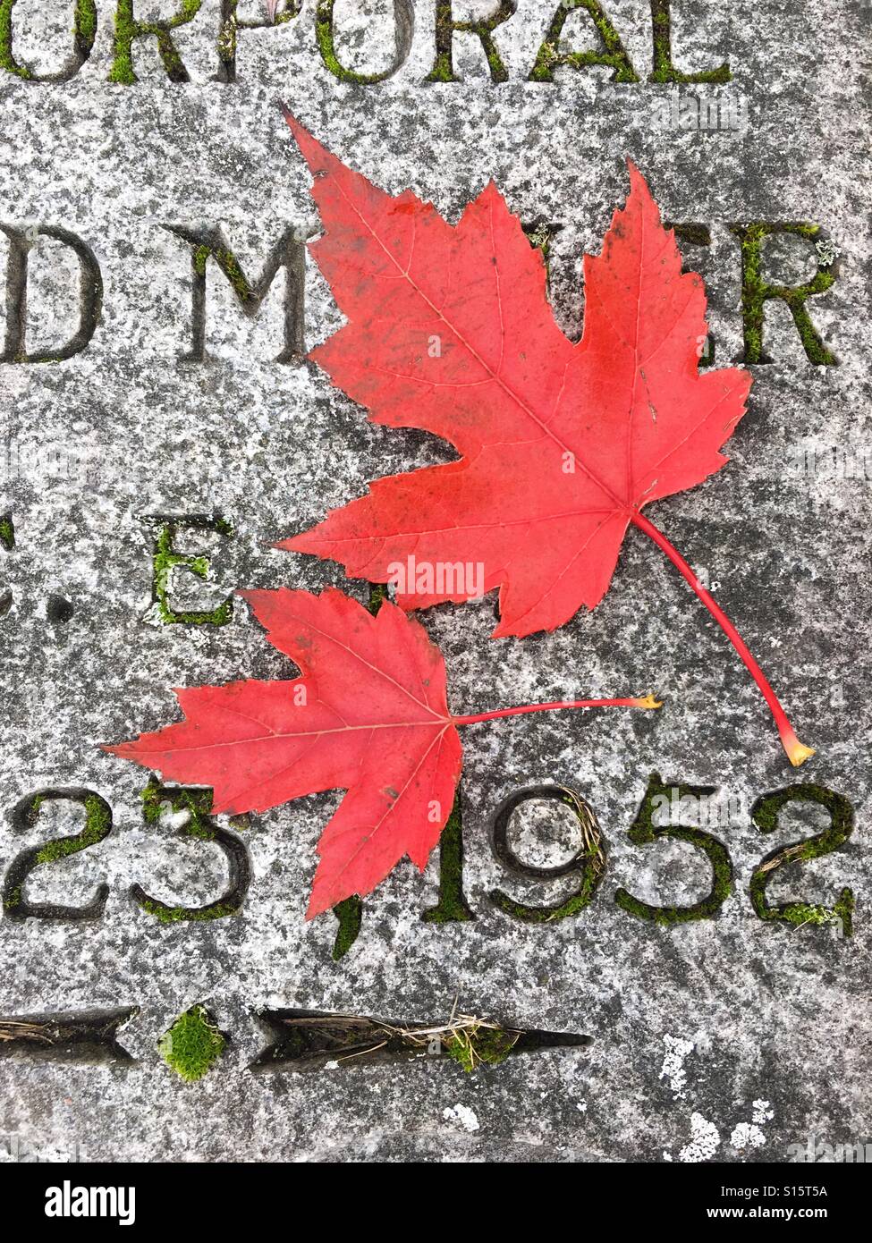 Military gravestone hi-res stock photography and images - Alamy