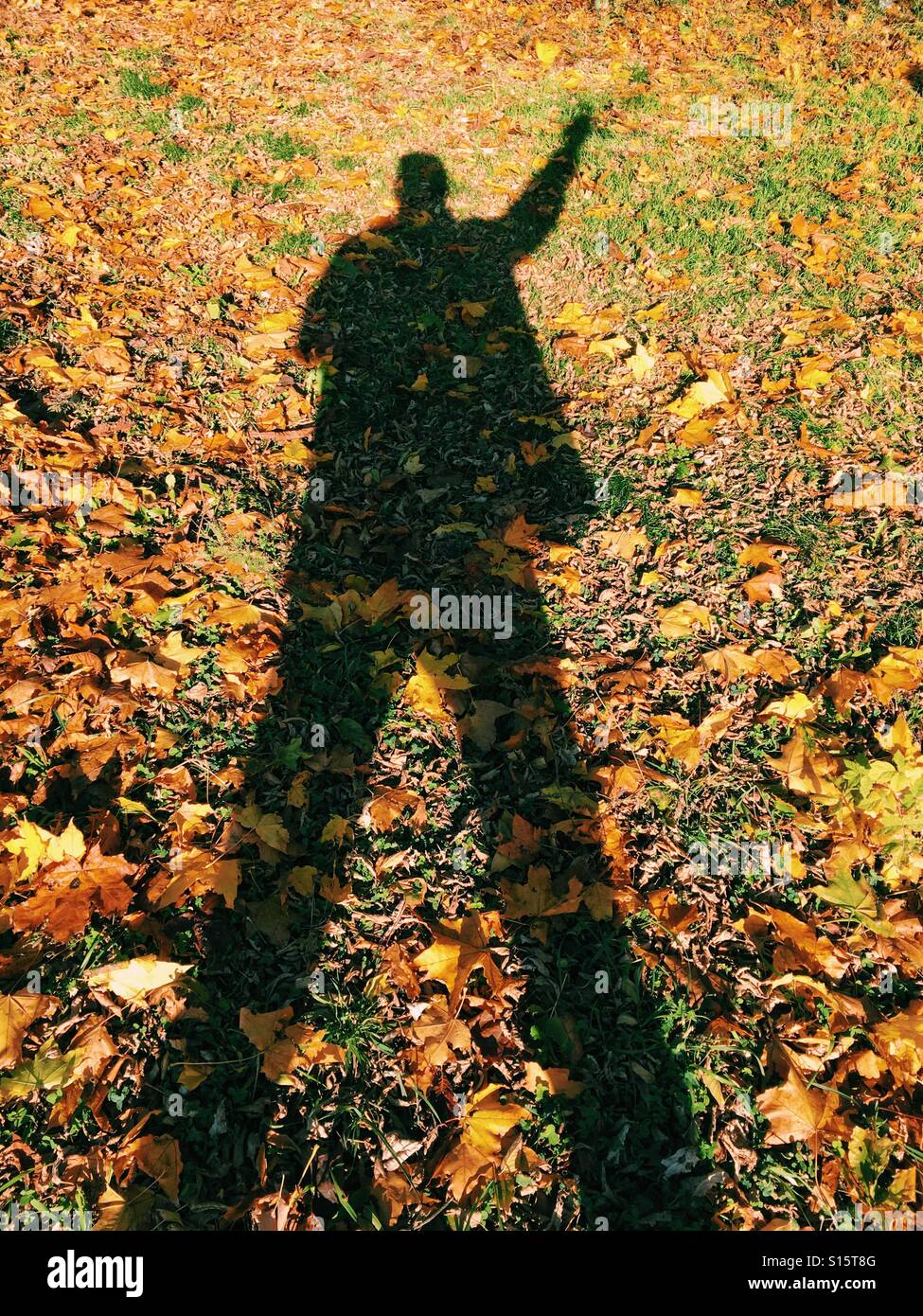 Hand up hi-res stock photography and images - Alamy