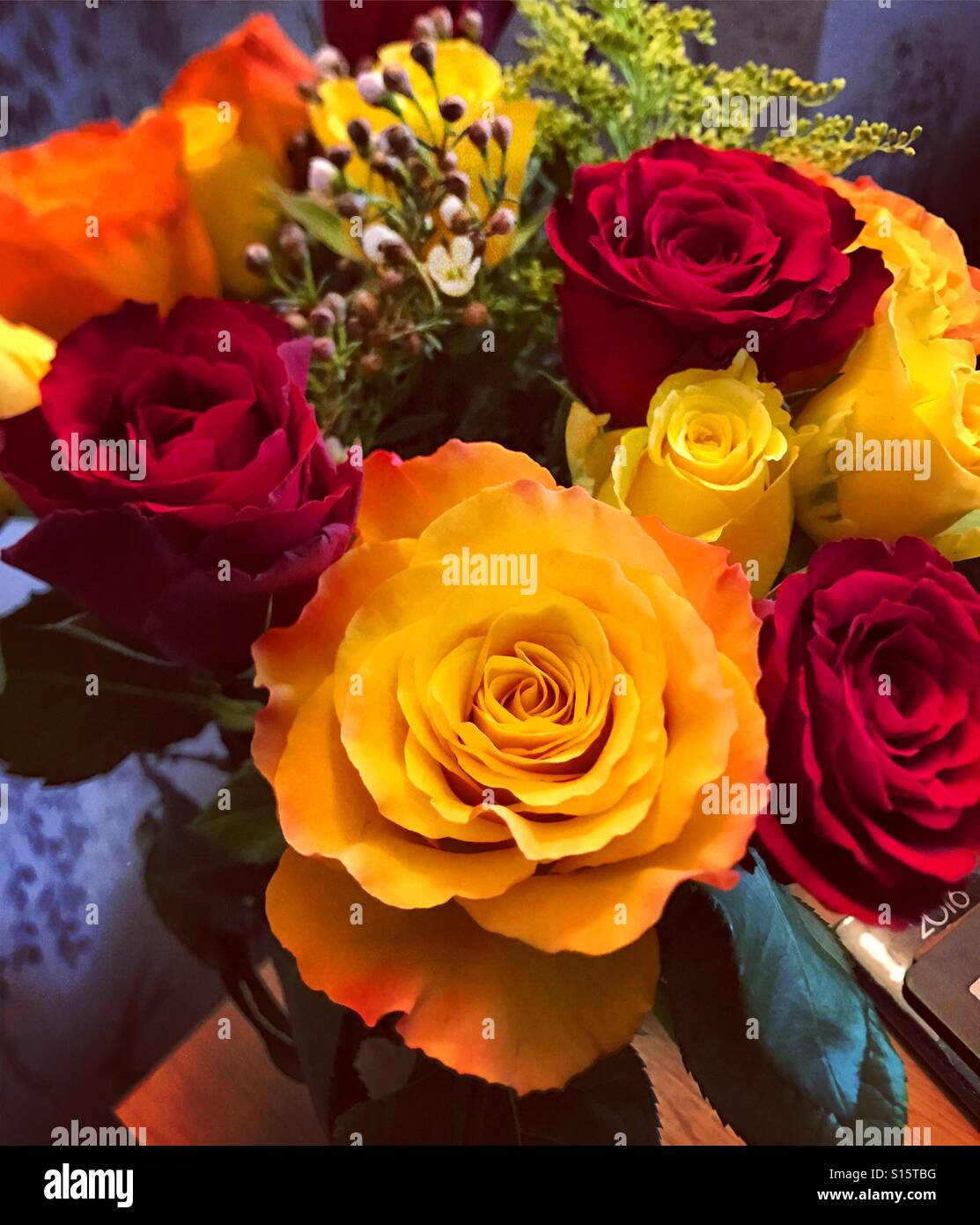 Coloured roses hi-res stock photography and images - Alamy