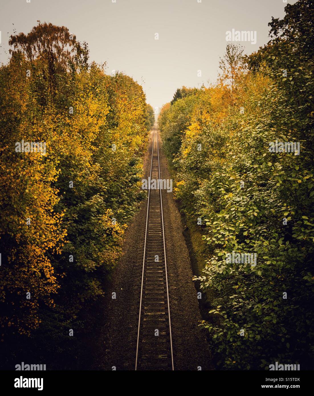 Cut Tracks High Resolution Stock Photography and Images - Alamy