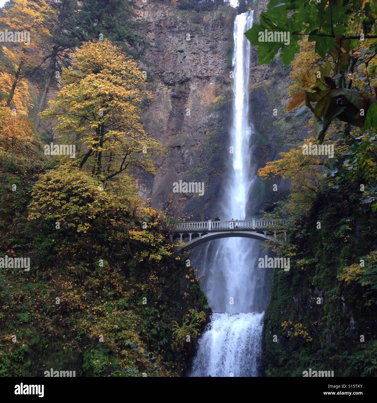 Multnomah Falls, Oregon Stock Photo - Alamy
