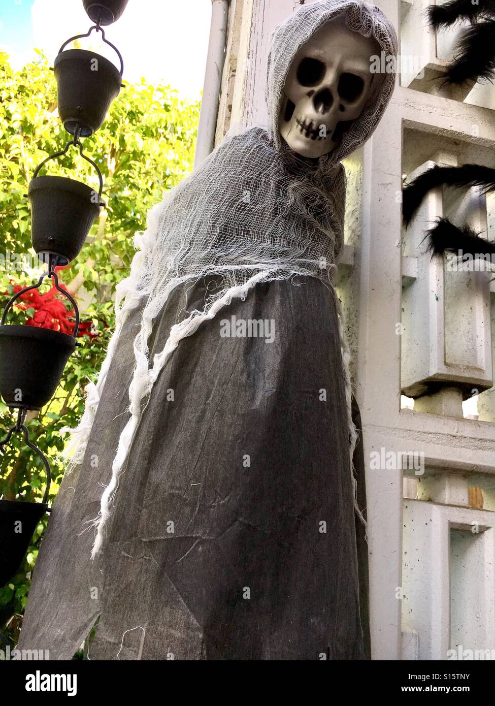 Scary skelton hi-res stock photography and images - Alamy