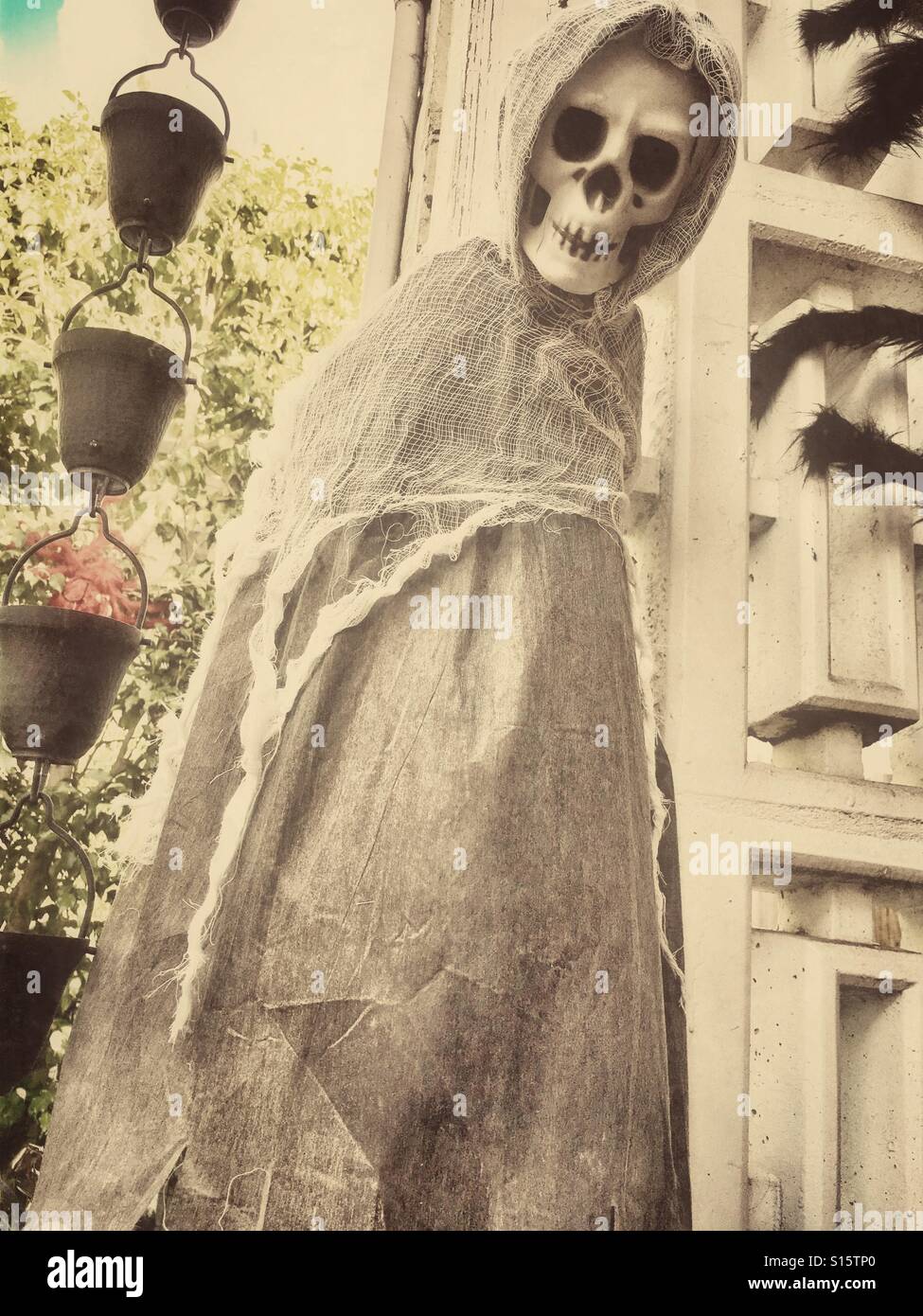 Scary skelton hi-res stock photography and images - Alamy