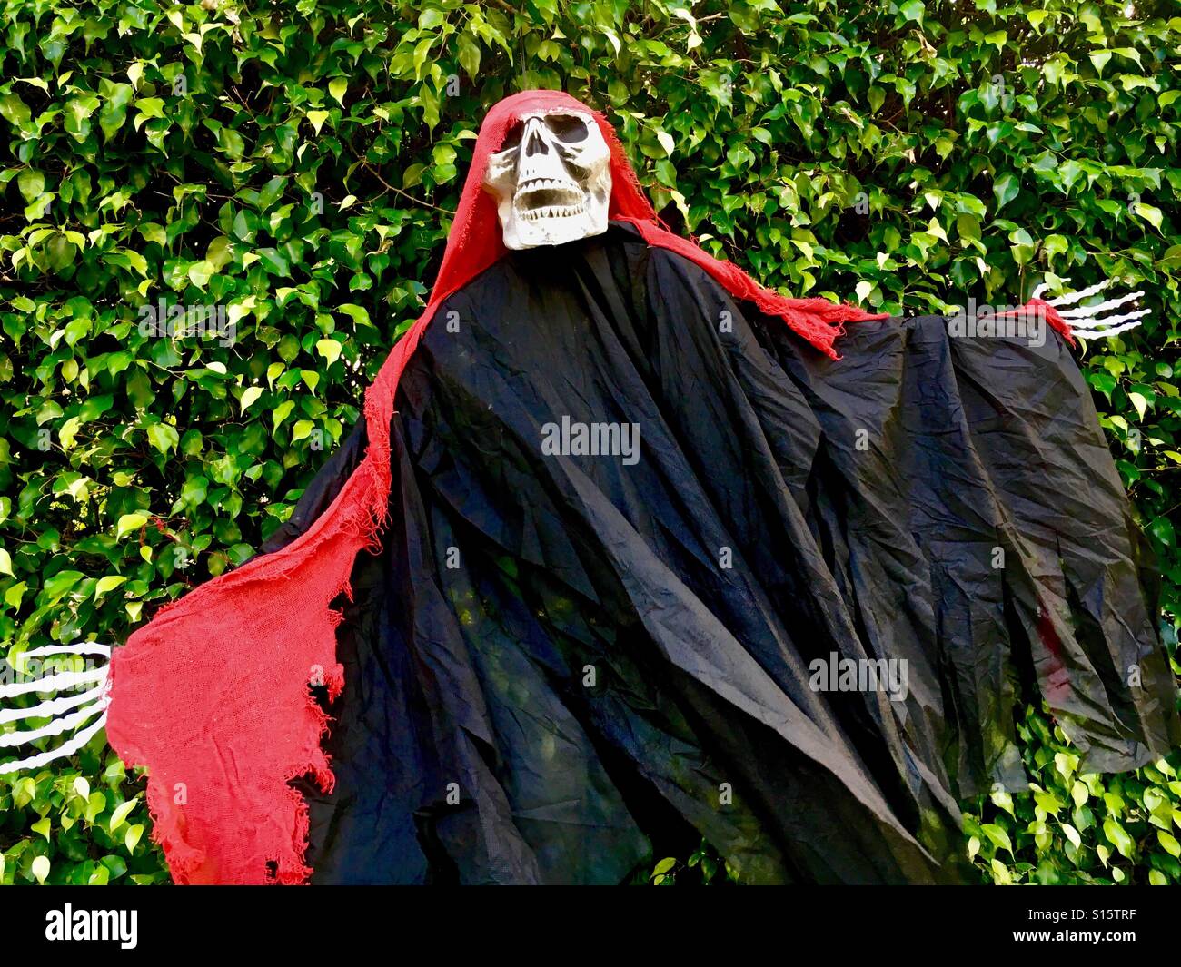 Scary haunting halloween hi-res stock photography and images - Alamy