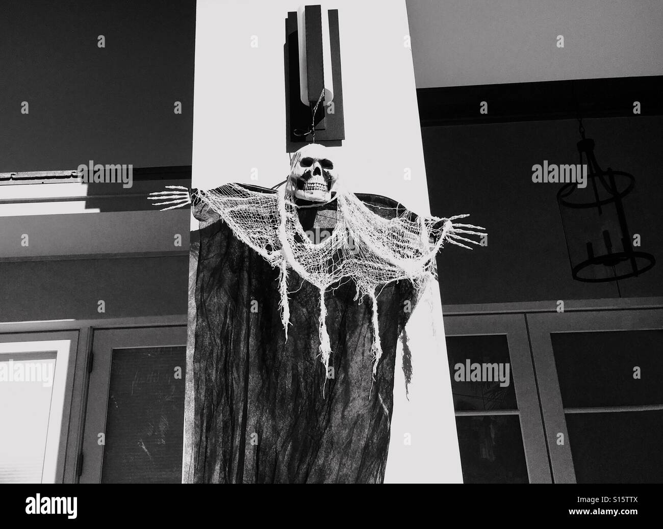 Scary skelton hi-res stock photography and images - Alamy