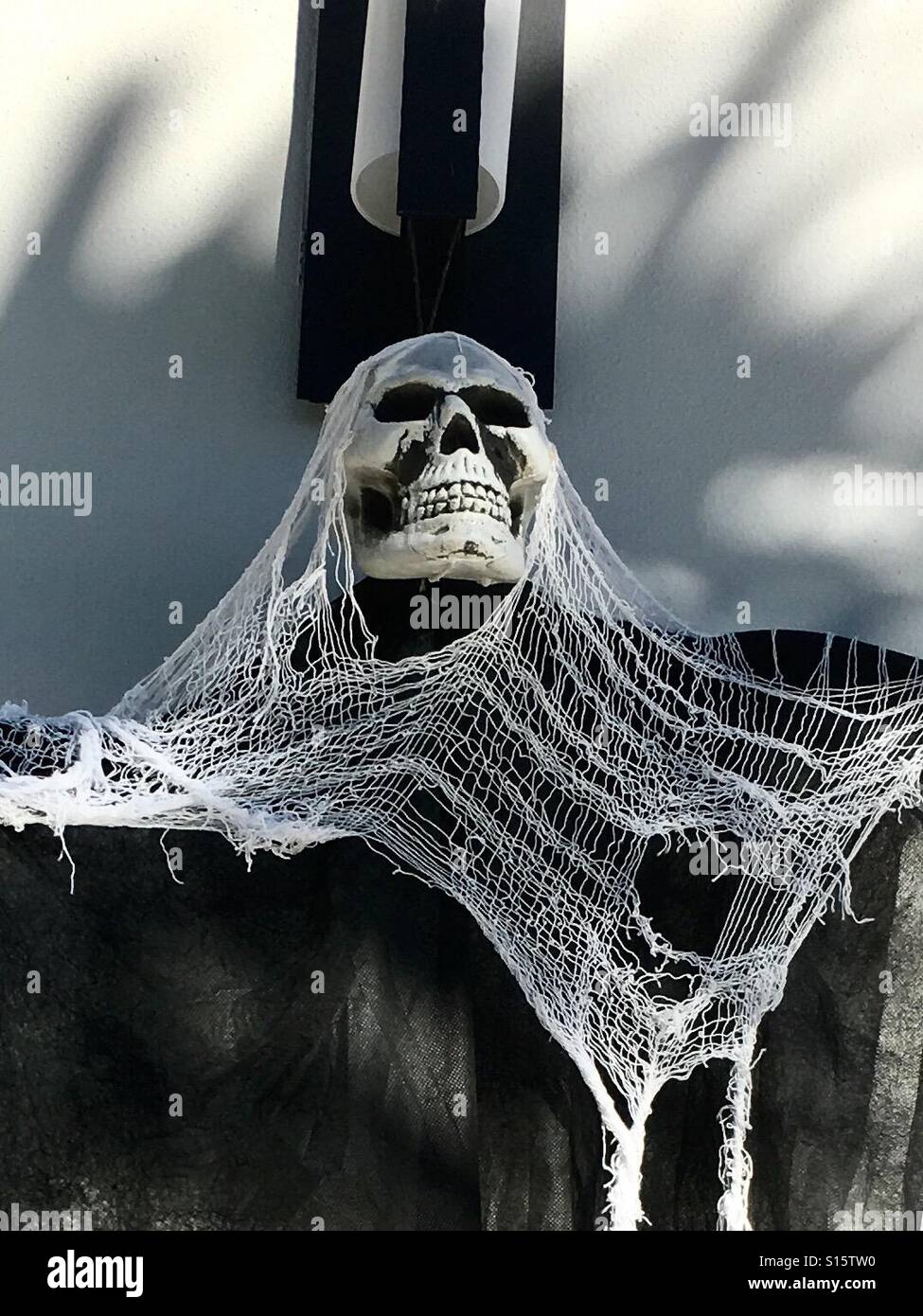 Scary skelton hi-res stock photography and images - Alamy