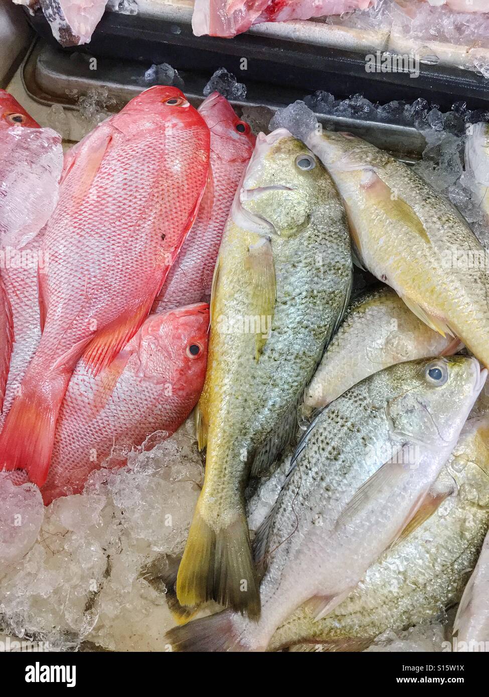 Red fish market hi-res stock photography and images - Alamy