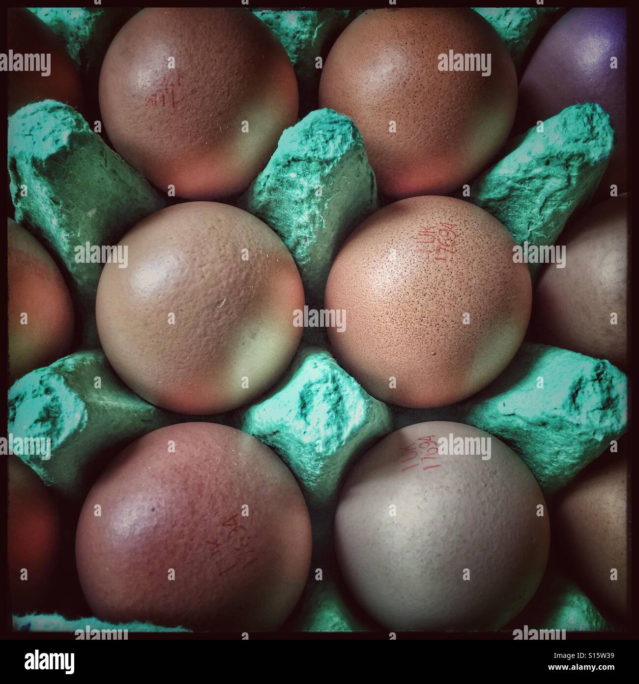 Free range eggs Stock Photo - Alamy