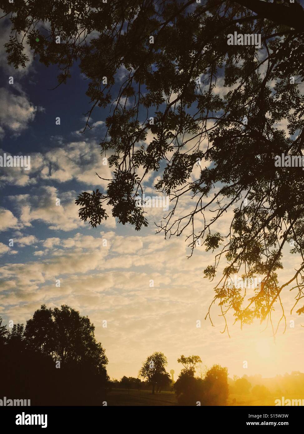 Sunrise behind tree Stock Photo - Alamy