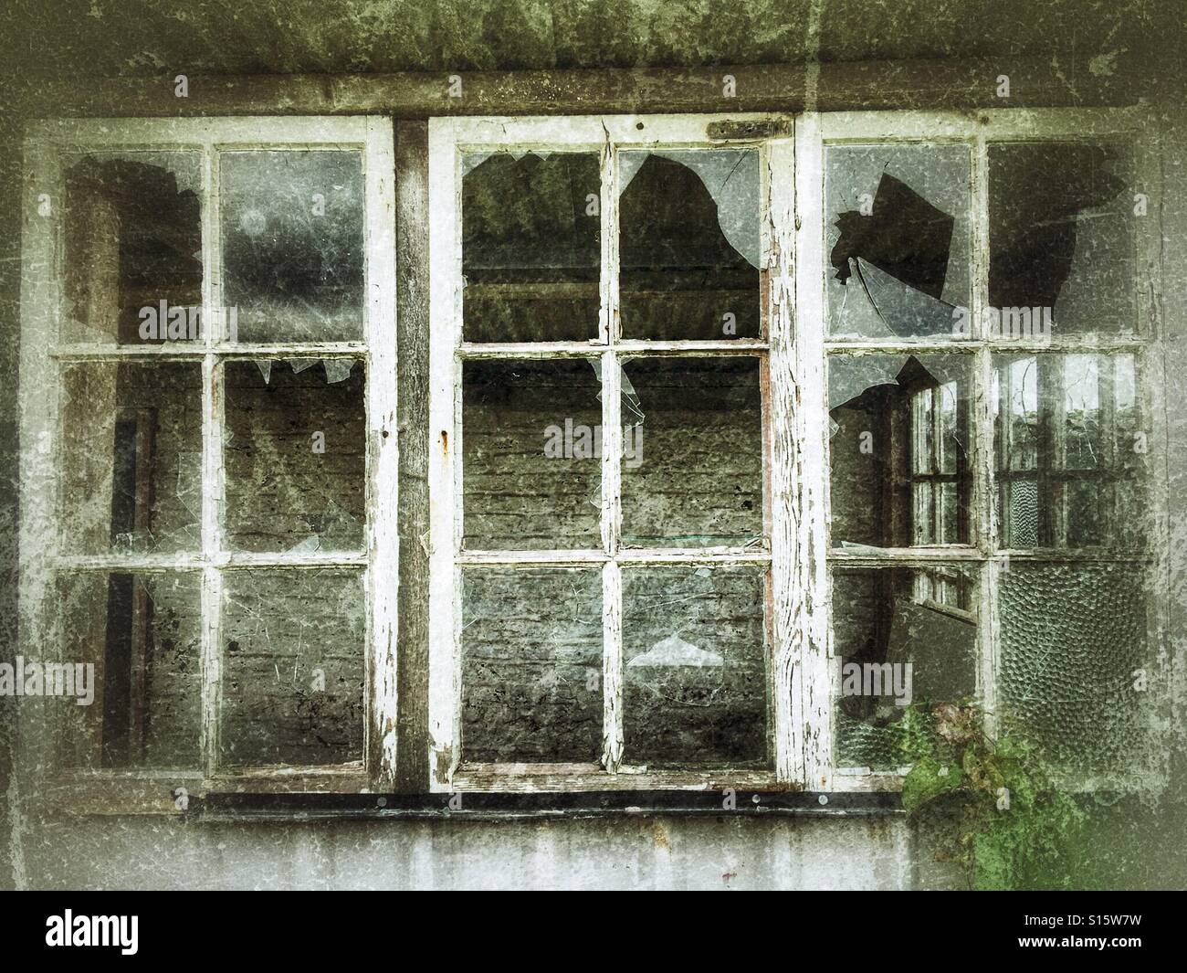 Grungy old broken windows in an outbuilding Stock Photo - Alamy