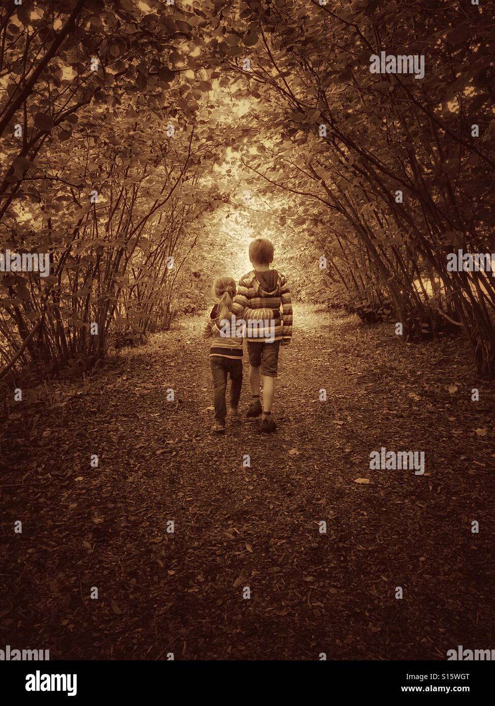 Brother and sister embrace, arm in arm, and walk down an avenue of ...