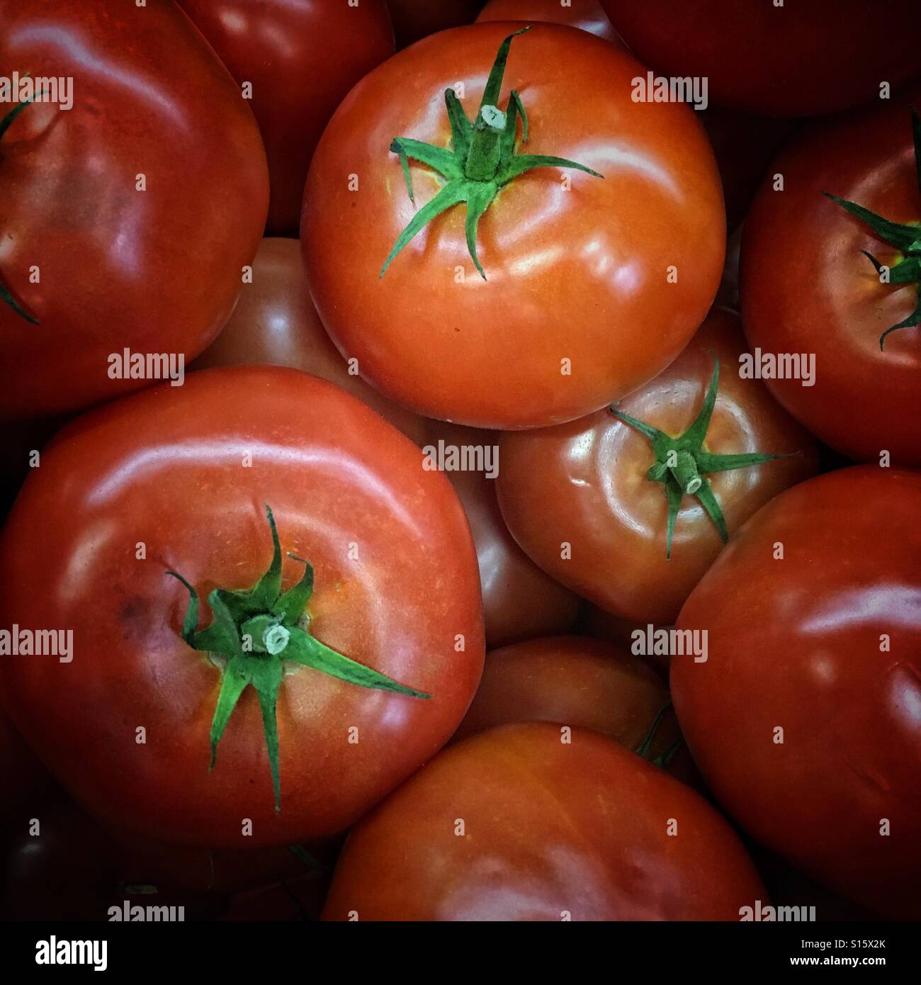 Heap of tomatoes Stock Photo - Alamy