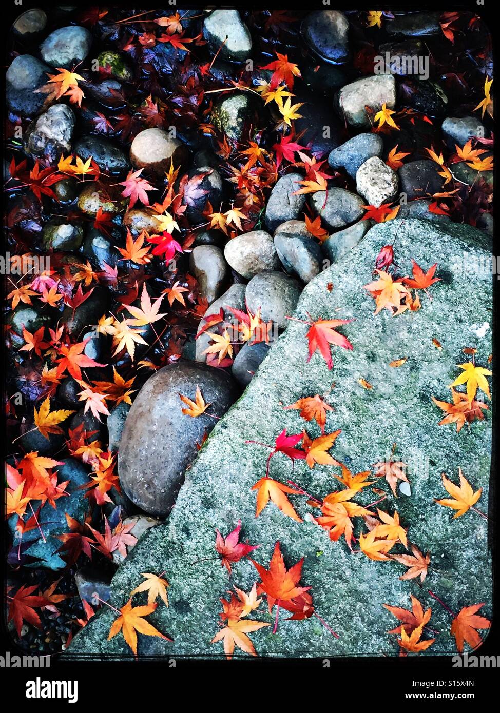 Scattered rocks hi-res stock photography and images - Alamy