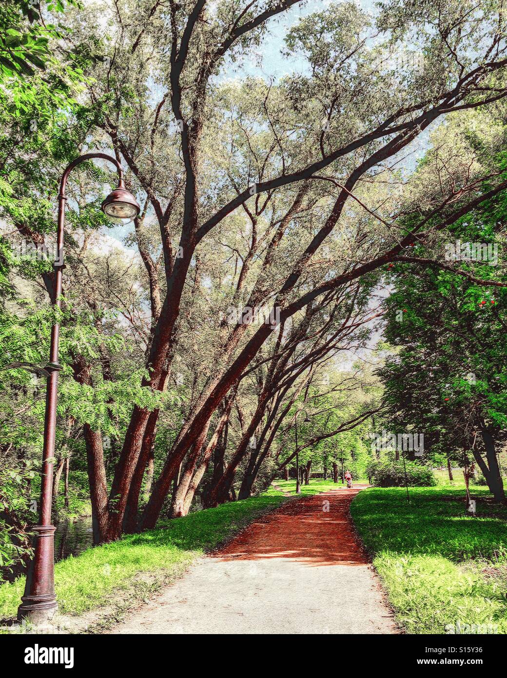 Snapshot of an old park Stock Photo - Alamy