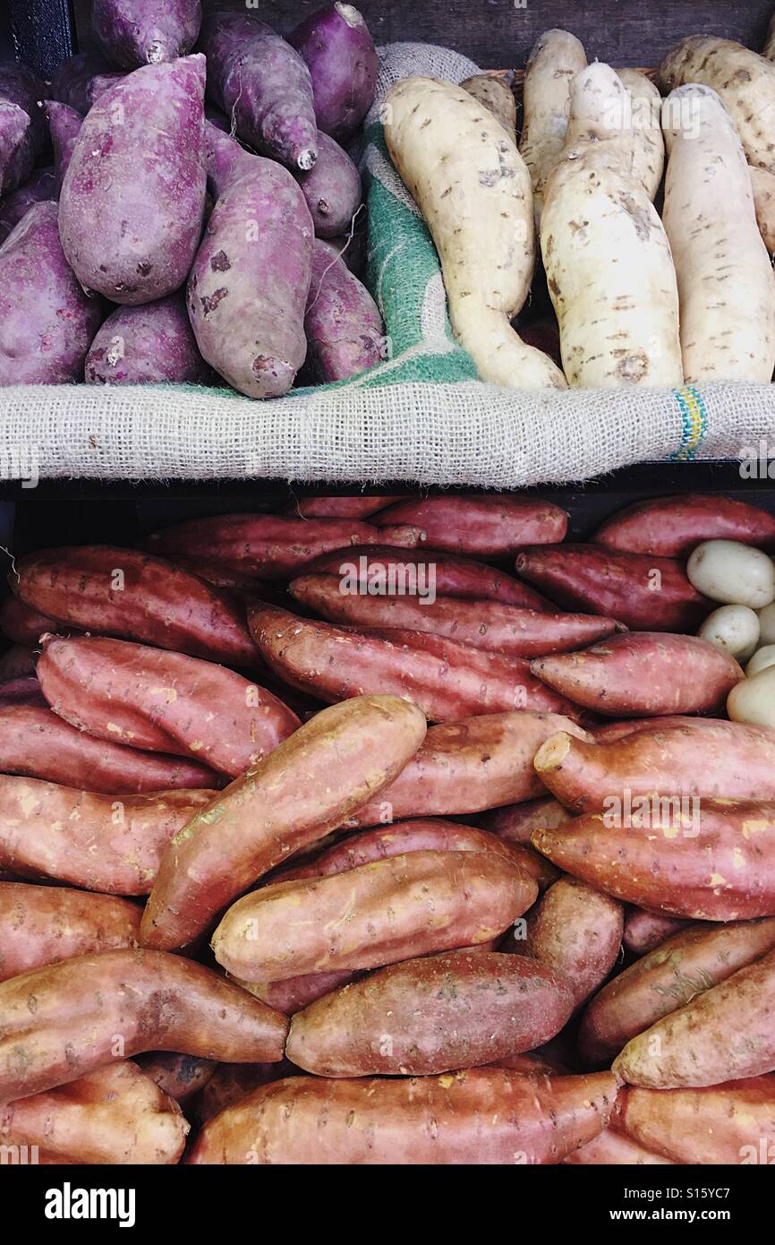 Sweet potato varieties hi-res stock photography and images - Alamy