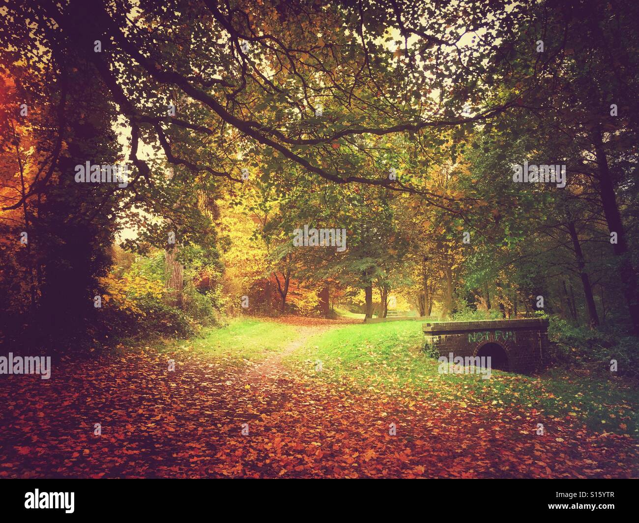 Stratford Park in autumn, Stroud, Gloucestershire, England Stock Photo ...