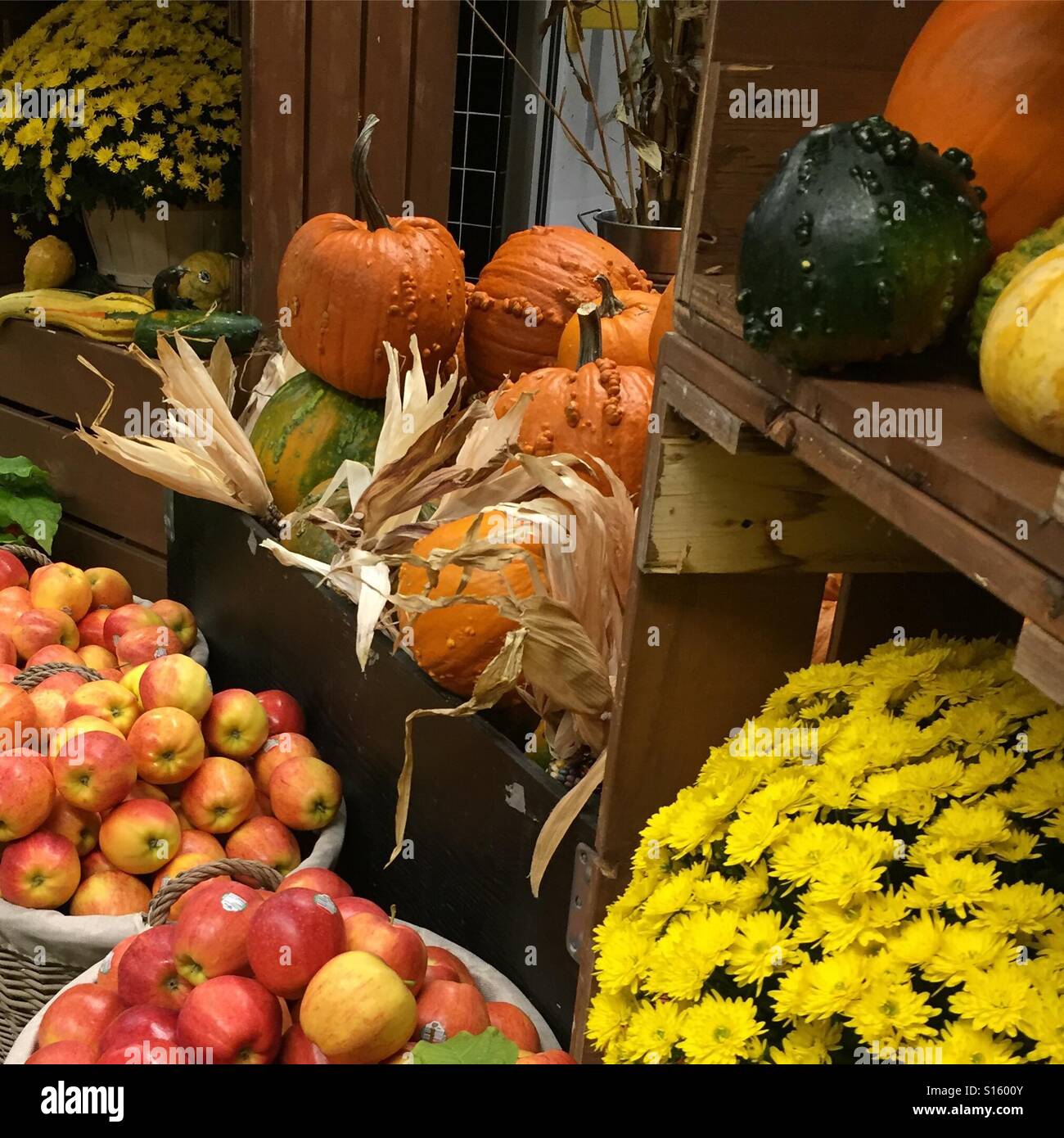 Products of the Fall Stock Photo - Alamy