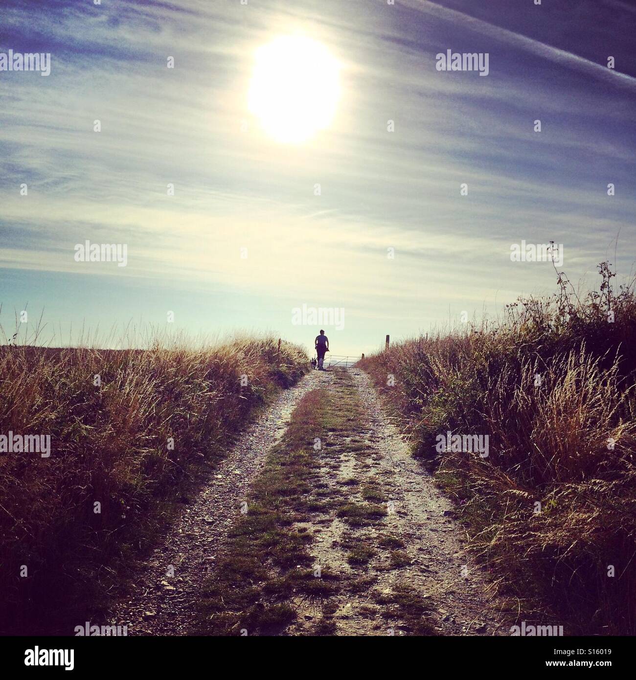 Path through life hi-res stock photography and images - Alamy