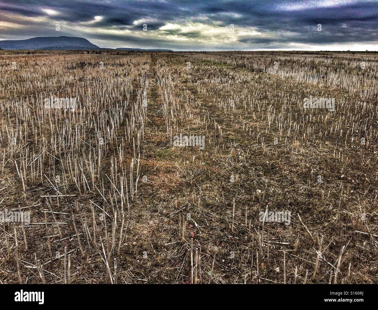 Dark field sky hi-res stock photography and images - Alamy