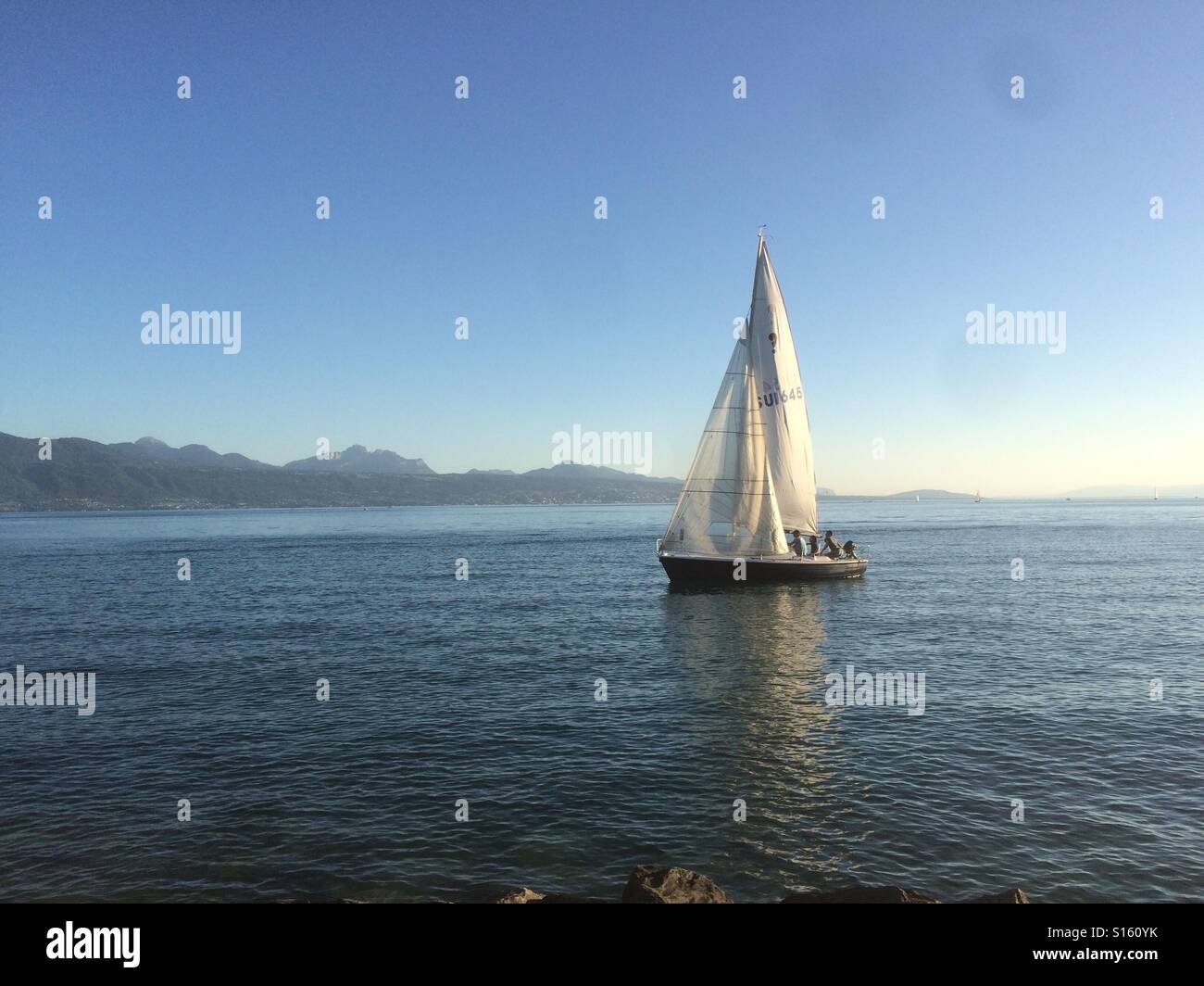 Sailboat on lake Geneva, Switzerland Stock Photo - Alamy