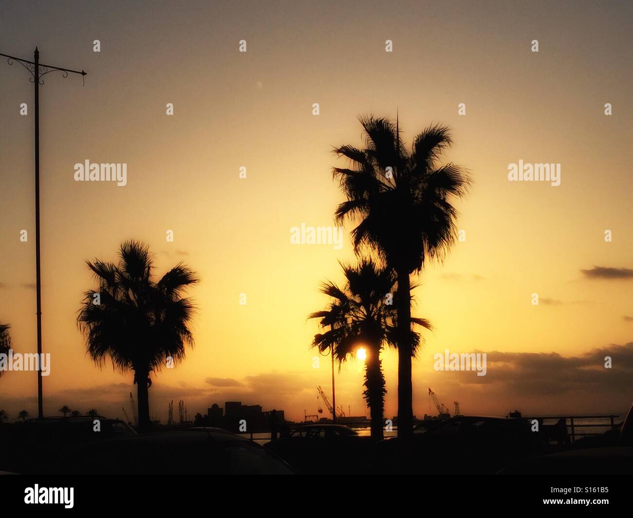 Sunset behind Palm tree Stock Photo - Alamy