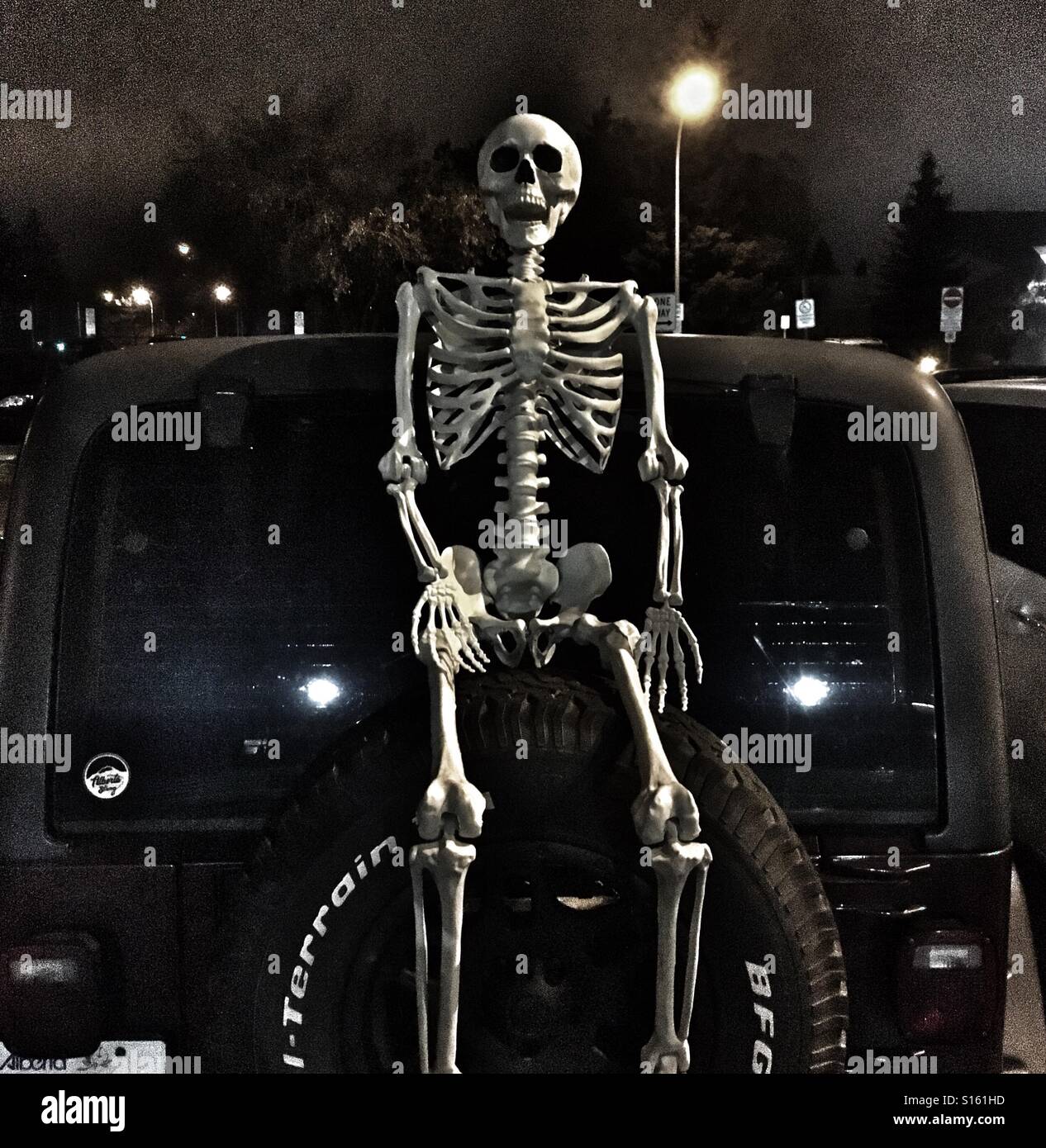 Skeleton riding hi-res stock photography and images - Alamy