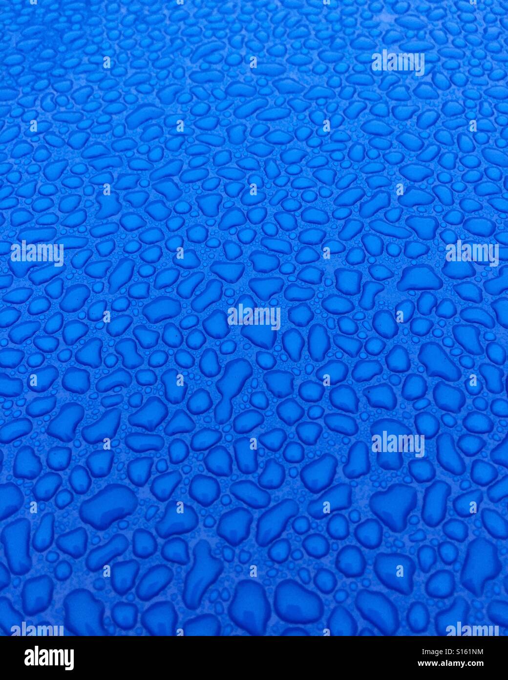 Car dew hi-res stock photography and images - Alamy